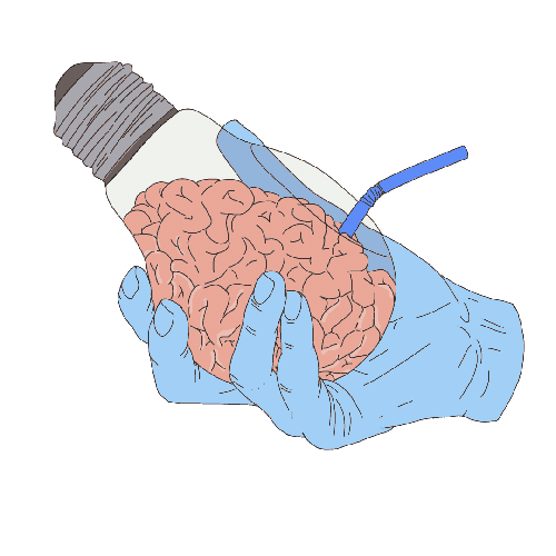 With our clients we successfully finished projects for such companies as